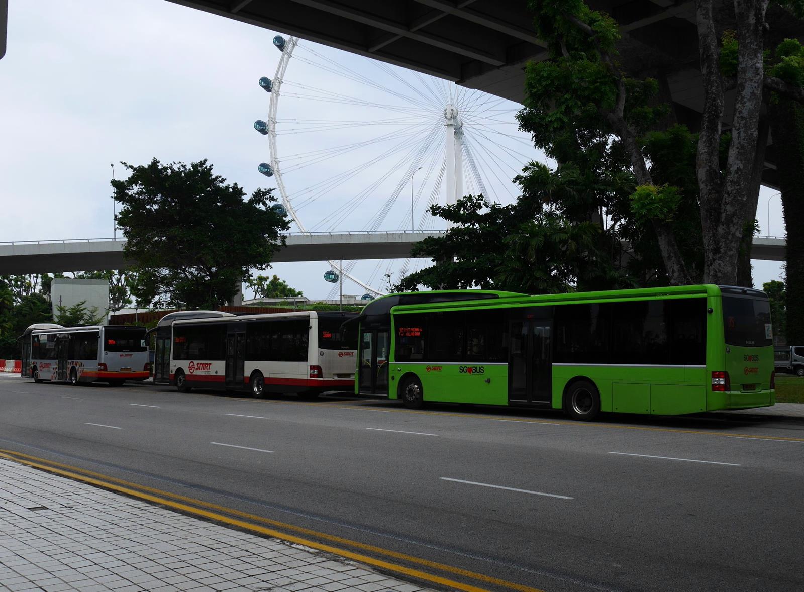 In 3 Liveries Our SG Bus Story In 3 Liveries Our SG Bus Story