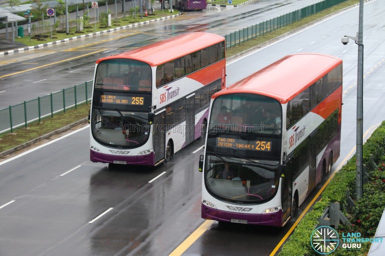 SMRT Bus Service 254 | Land Transport Guru