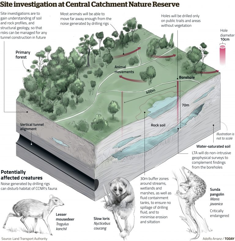 CRL Infographic Today | Land Transport Guru