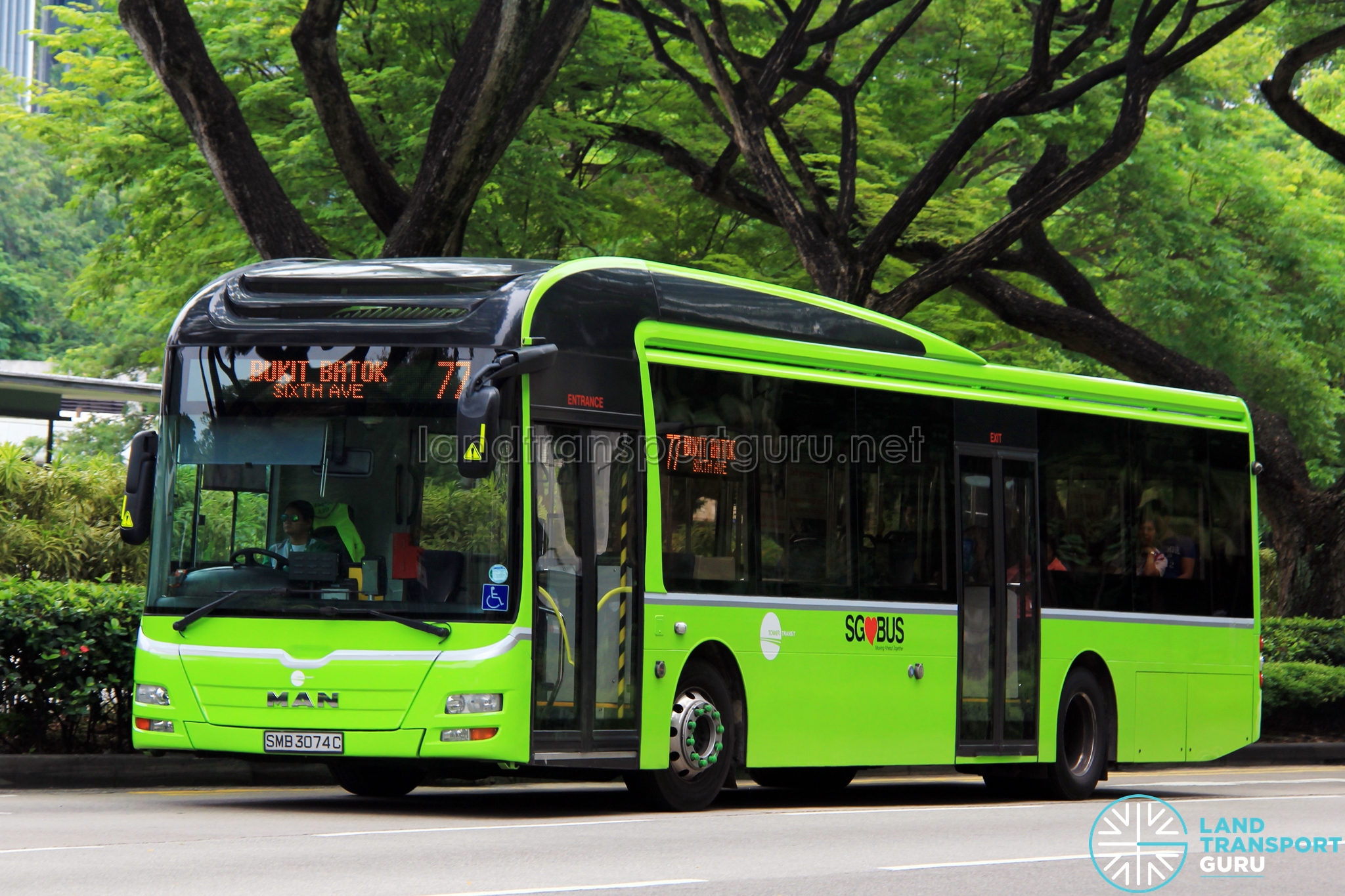 Tower Transit Bus Service 77 Land Transport Guru