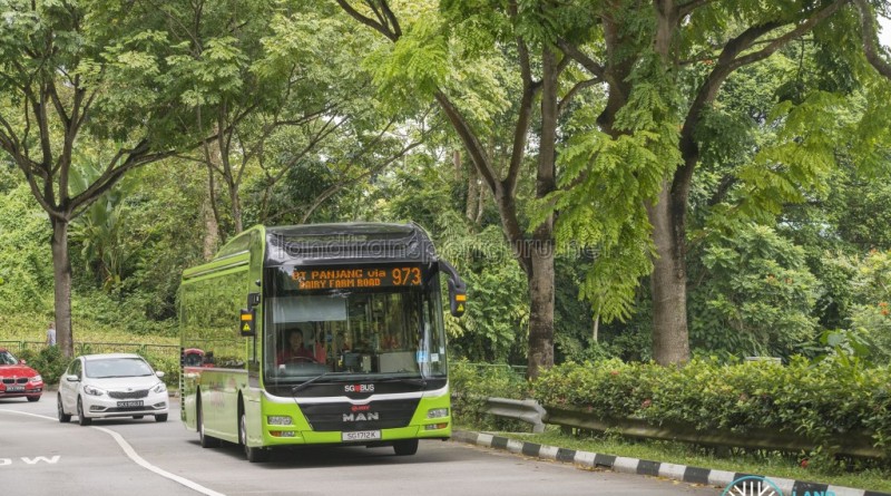 SMRT Bus Service 973 | Land Transport Guru