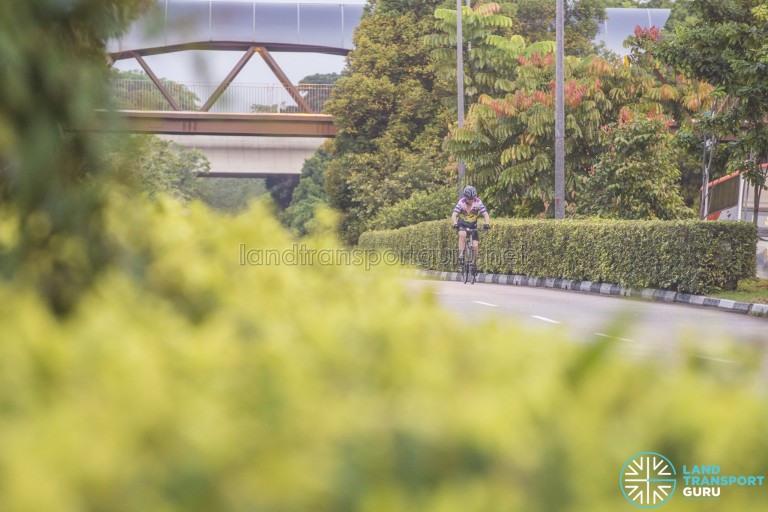 Generic-Cyclist-Picture | Land Transport Guru