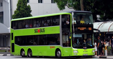 Tower Transit Bus Service 177 | Land Transport Guru