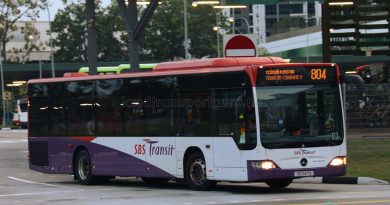 SBS Transit Bus Service 163 | Land Transport Guru