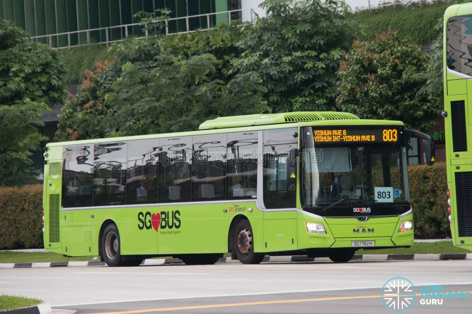 Bus 803: SBS Transit MAN A22 Euro 6 (SG1782H) | Land Transport Guru
