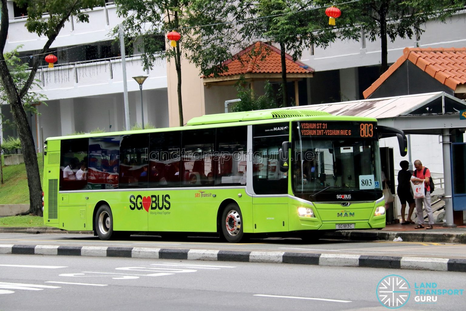 Bus 803: SBS Transit MAN Lion’s City A22 (SG1813C) | Land Transport Guru