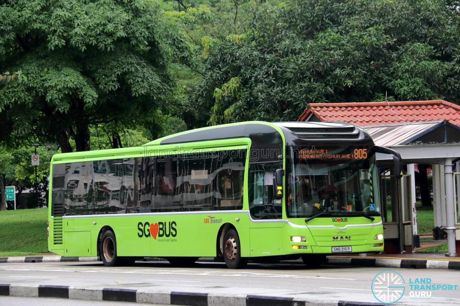 Bus 805: SBS Transit MAN Lion’s City A22 (SMB3116R) | Land Transport Guru