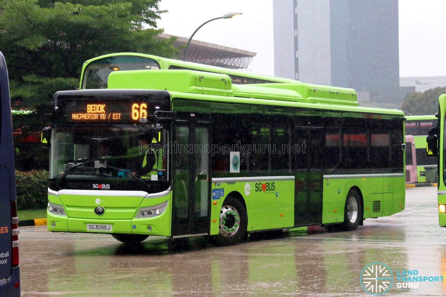 Bus 66 – Tower Transit Yutong E12 (SG3099J) | Land Transport Guru