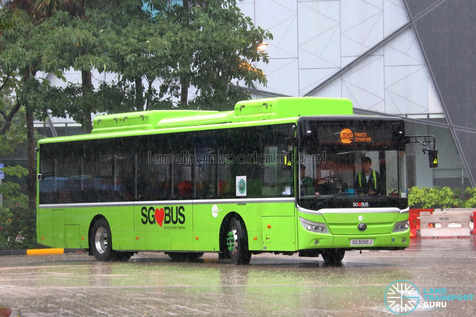 Tower Transit Logo – Yutong E12 (SG3099J) | Land Transport Guru