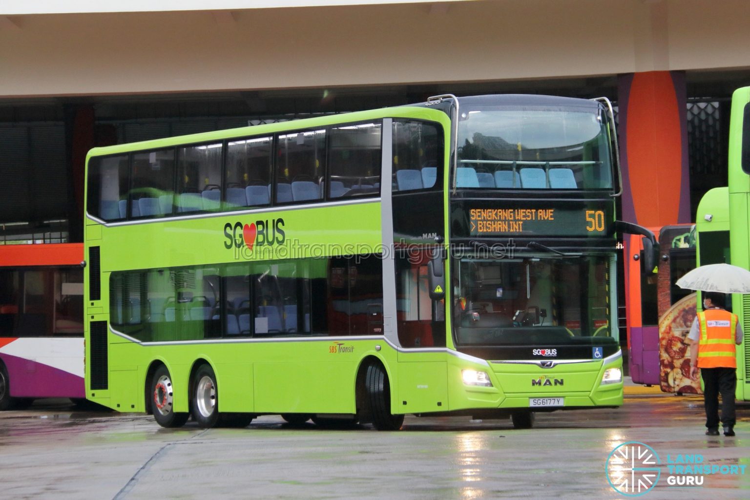 Bus 50 – SBS Transit MAN A95 Euro 6 (SG6177Y) | Land Transport Guru