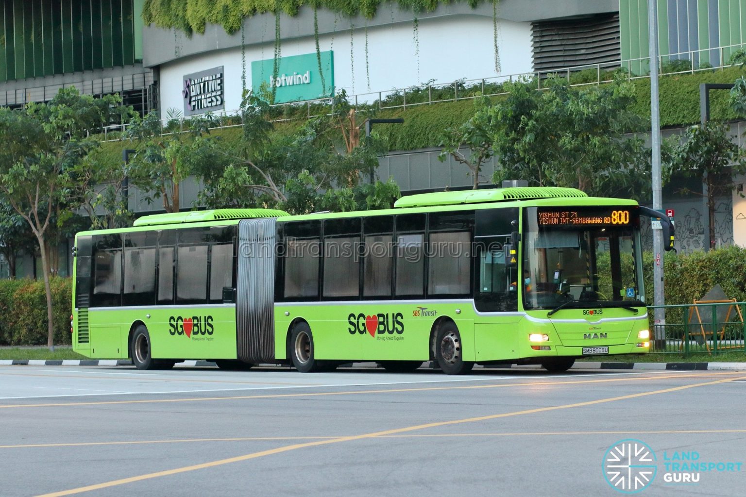 Bus 800 – SBS Transit MAN A24 (SMB8005U) | Land Transport Guru