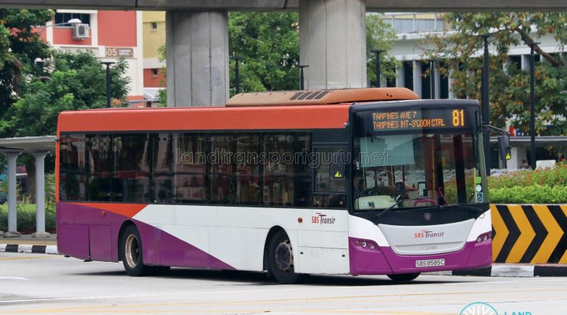 SBS Transit Bus Service 81 | Land Transport Guru
