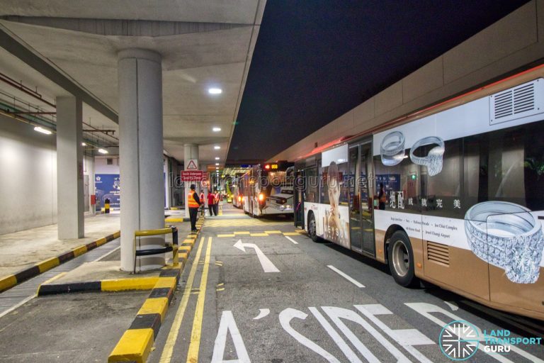 Buses along T3 Basement Drive (20 Feb 2021) | Land Transport Guru