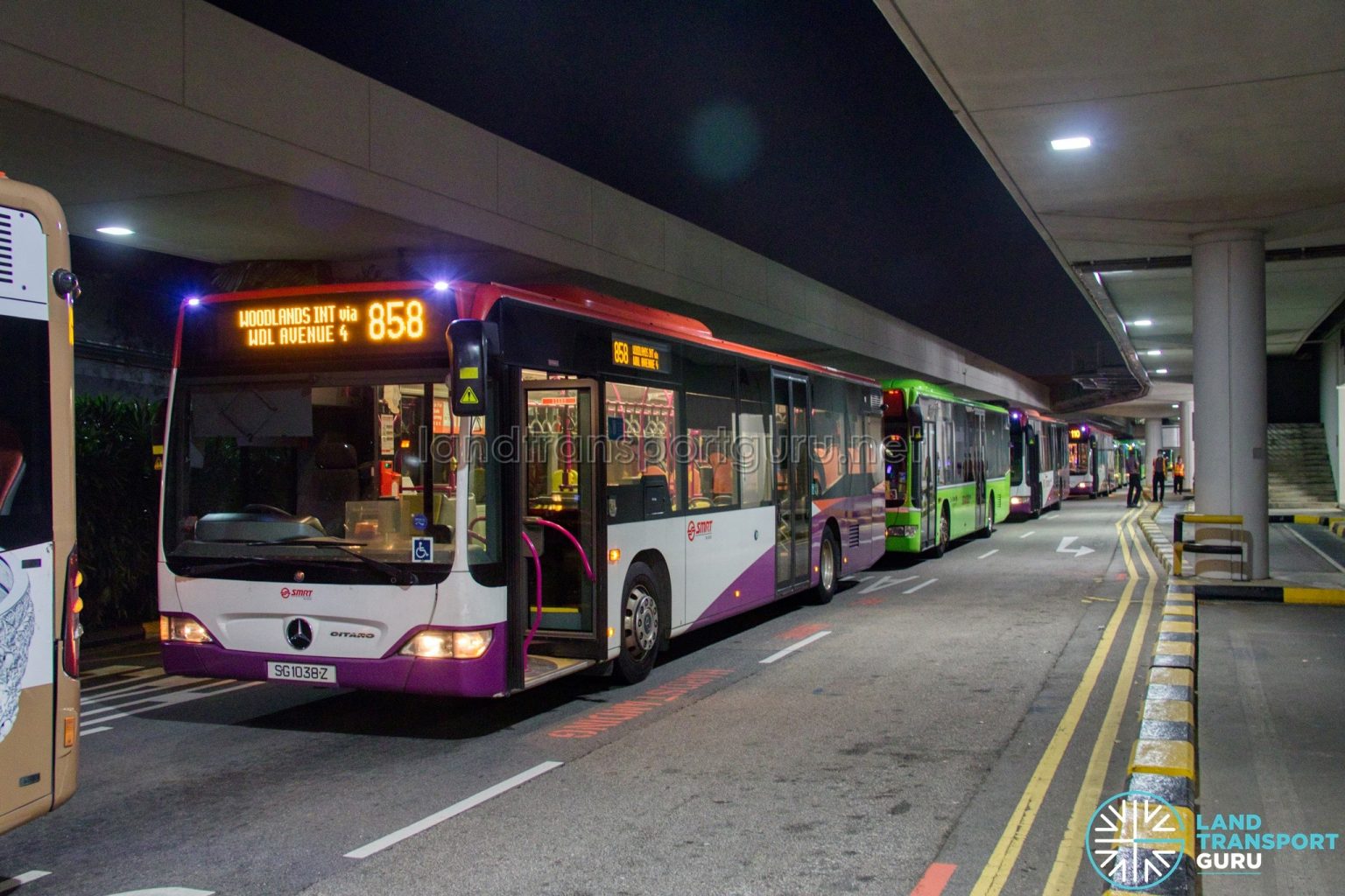 Buses along T3 Basement Drive (20 Feb 2021) | Land Transport Guru