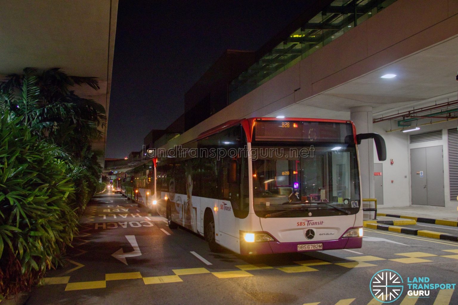 Changi Airport T3 bus breakdown 20Feb21 (15) | Land Transport Guru