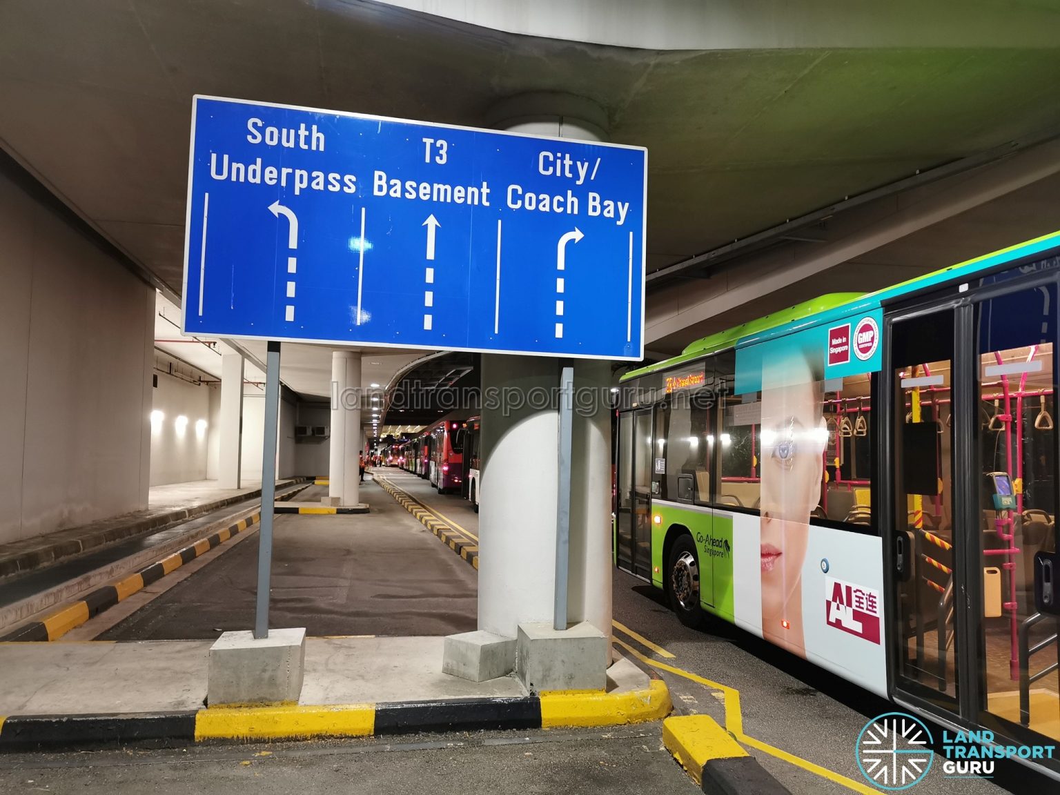 Buses along T3 Basement Drive (20 Feb 2021) | Land Transport Guru