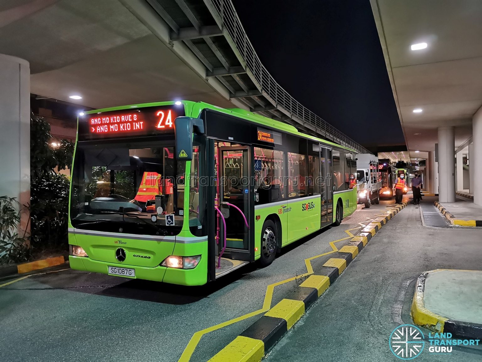 Buses along T3 Basement Drive (20 Feb 2021) | Land Transport Guru