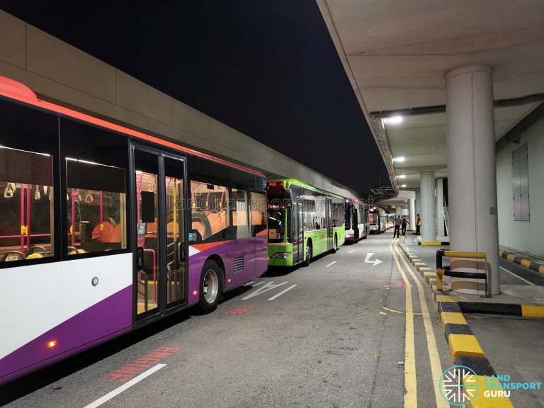 Buses along T3 Basement Drive (20 Feb 2021) | Land Transport Guru