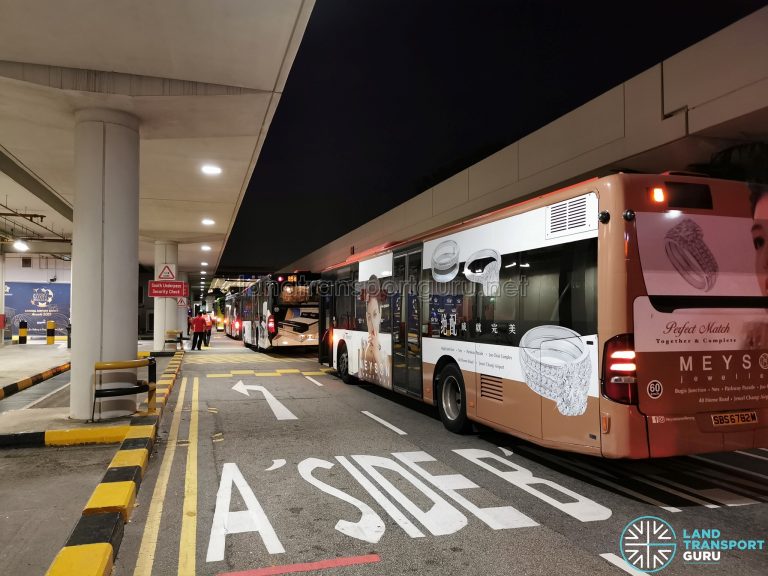 Buses along T3 Basement Drive (20 Feb 2021) | Land Transport Guru