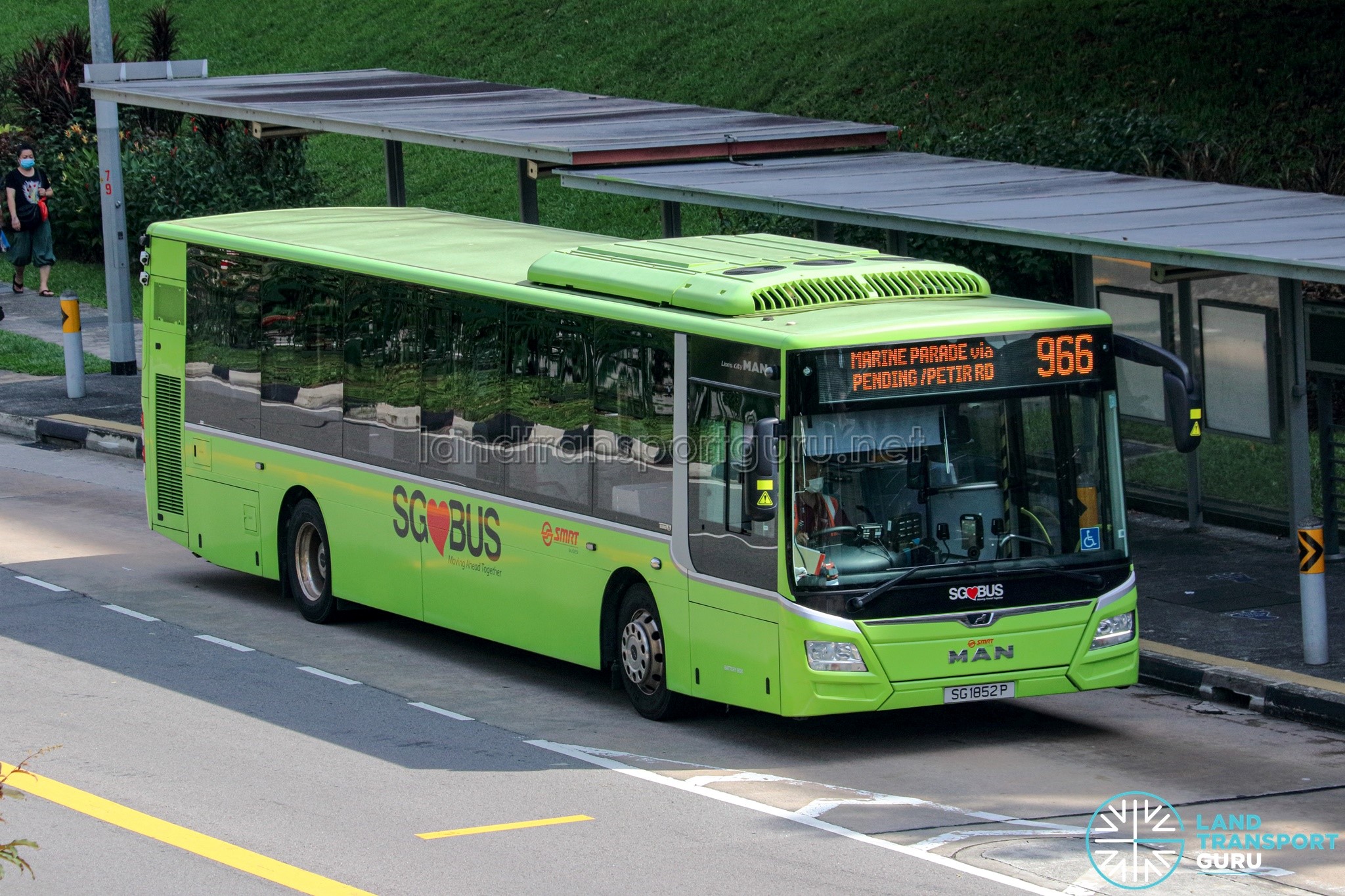 Bus 966 SMRT Buses MAN A22 Euro 6 SG1852P Land Transport Guru Bus 966 SMRT Buses MAN A22 Euro 6 SG1852P Land Transport Guru