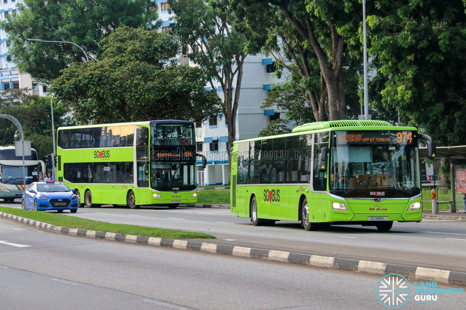 SBS Transit Service 974 buses bunching | Land Transport Guru