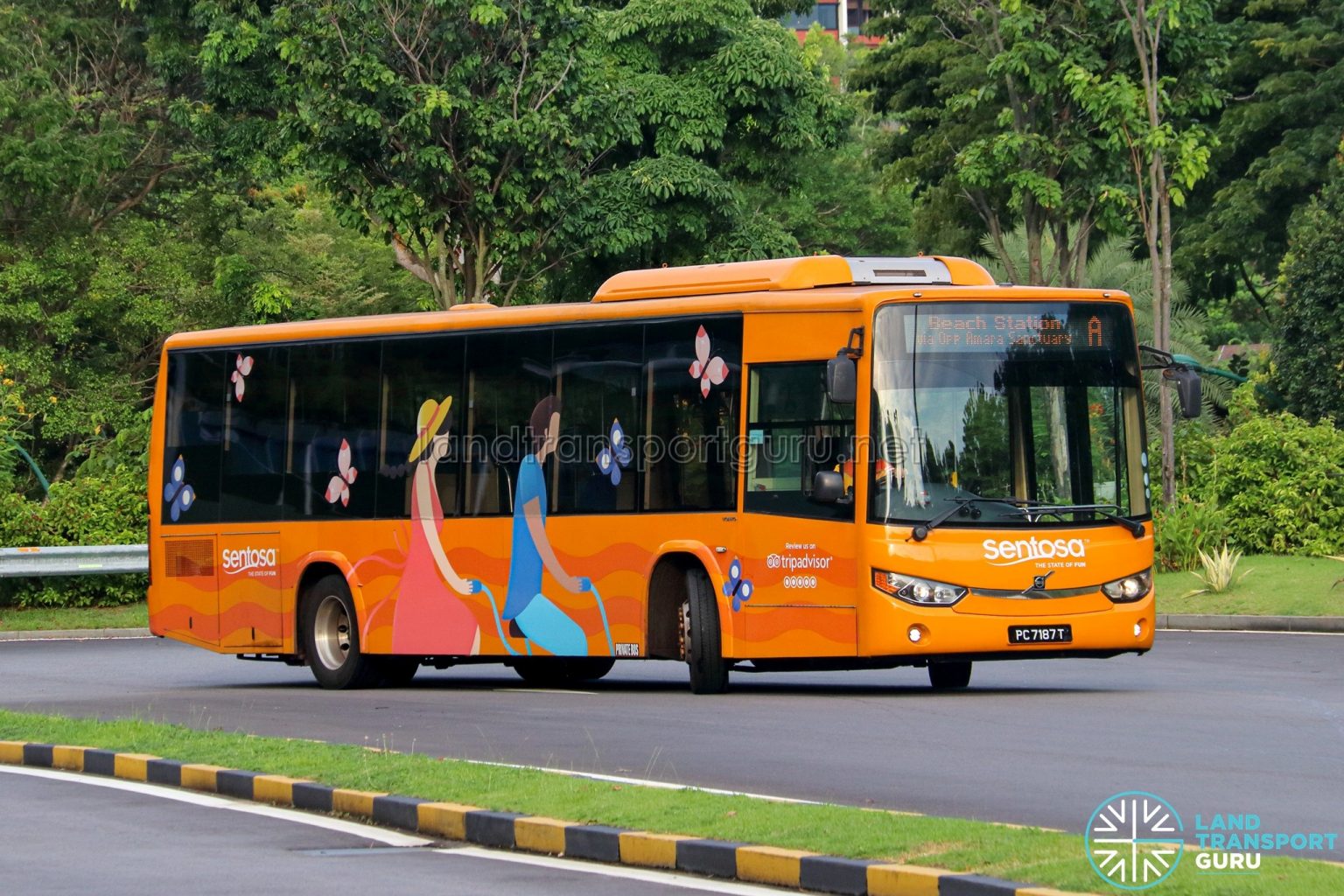 Sentosa Bus A | Land Transport Guru