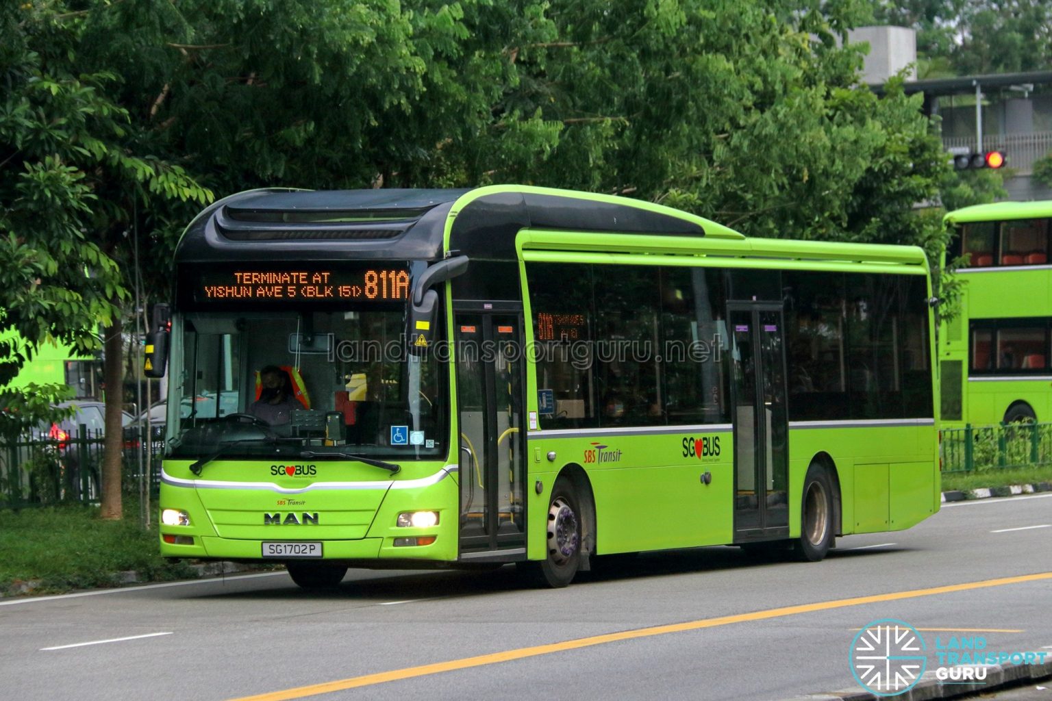 Bus 811A – SBS Transit MAN A22 (SG1702P) | Land Transport Guru