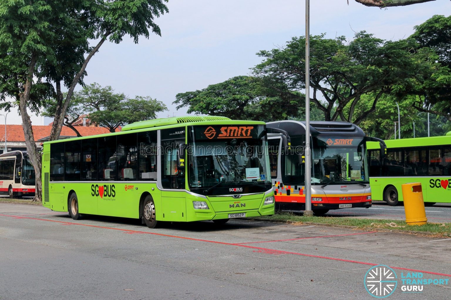SMRT Buses MAN A22 (SG1852P) & (SMB1544B) | Land Transport Guru