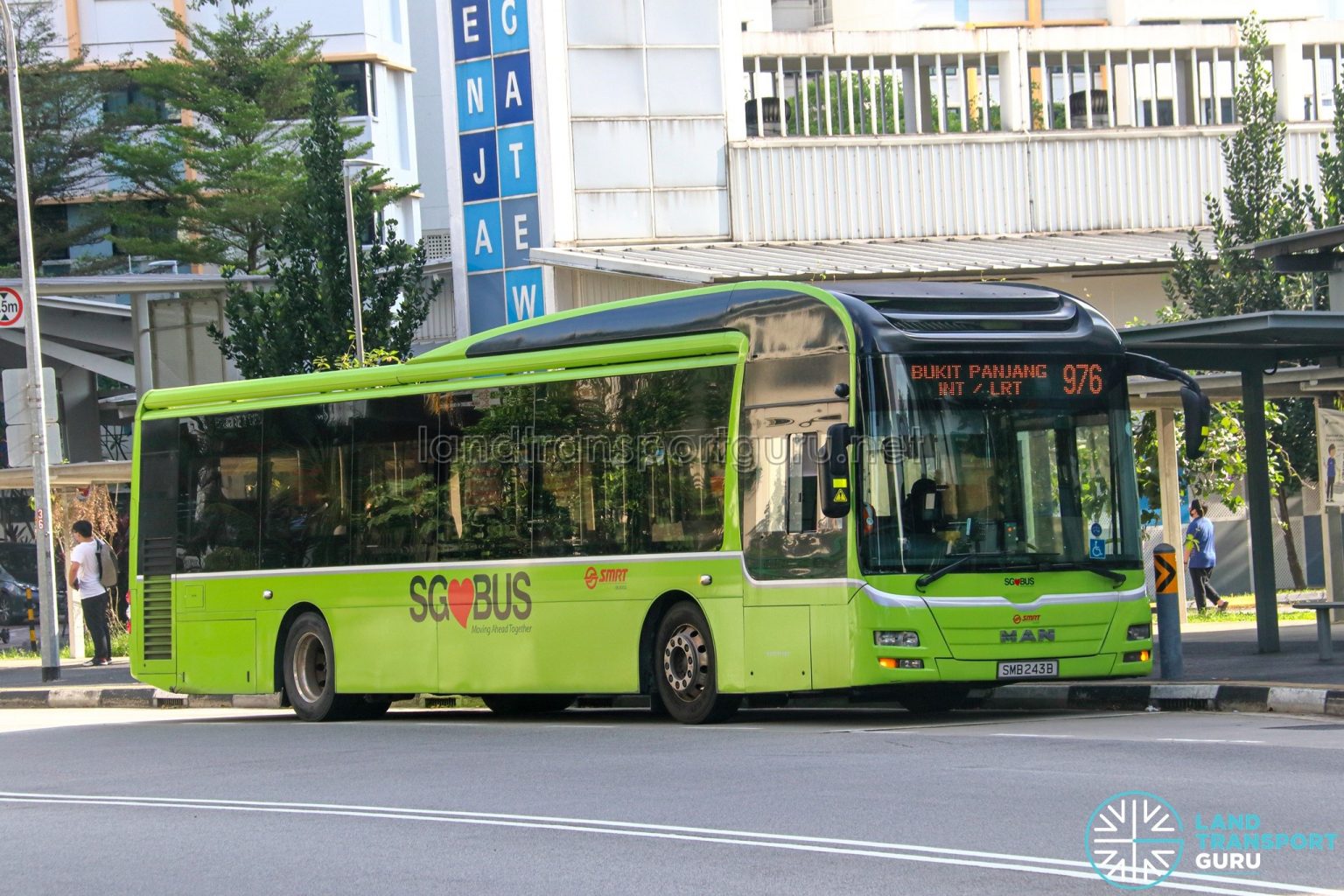 Bus 976 – SMRT Buses MAN A22 (SMB243B) | Land Transport Guru