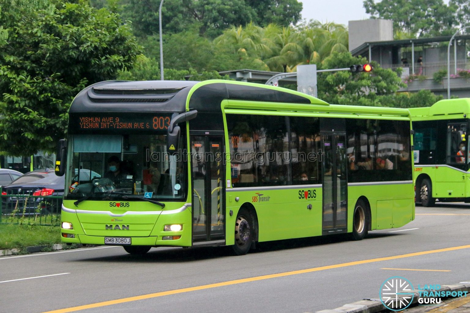 Bus 803 – SBS Transit MAN A22 (SMB3080J) | Land Transport Guru