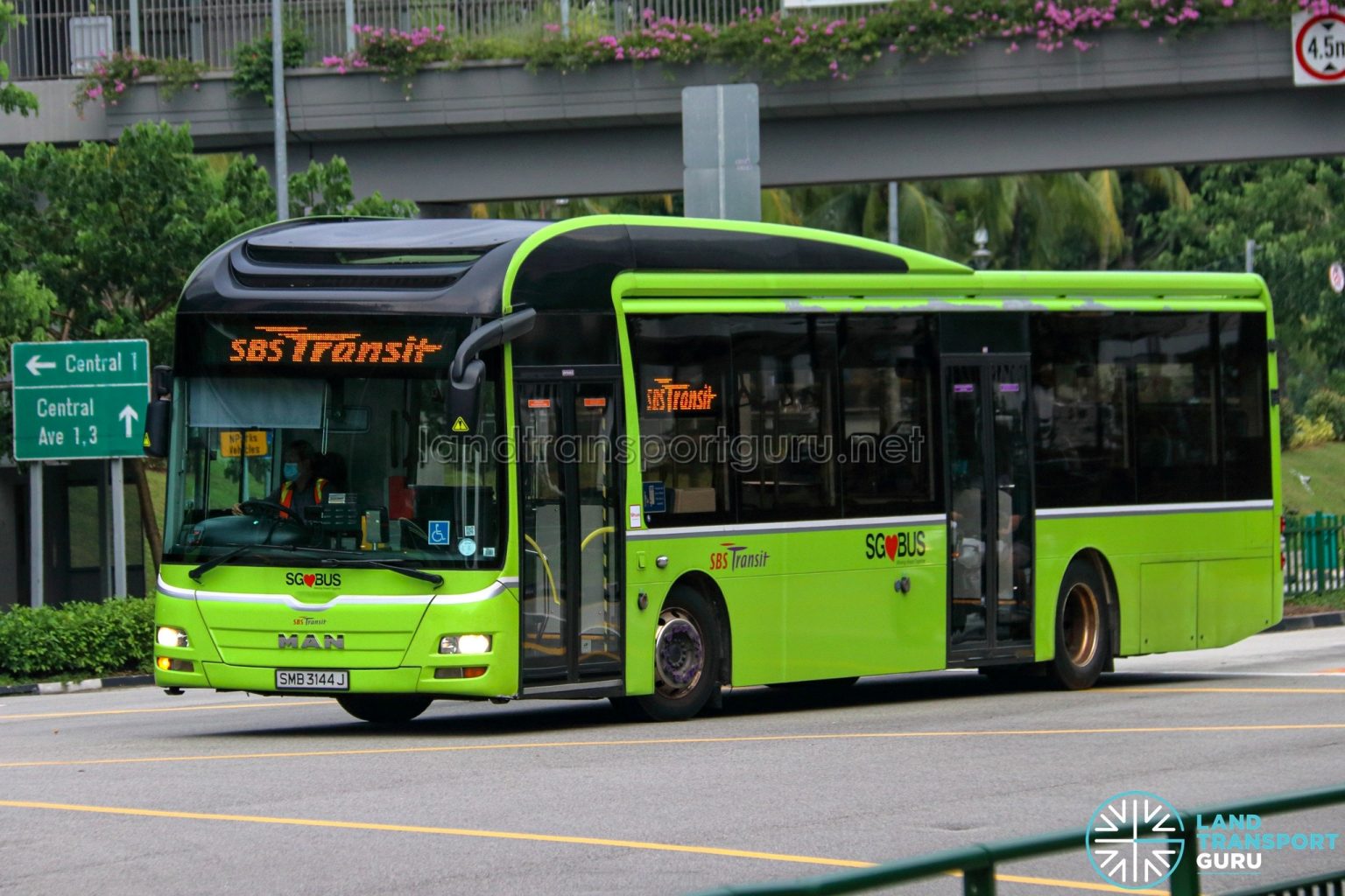 SBS Transit Logo – SBS Transit MAN A22 (SMB3144J) | Land Transport Guru