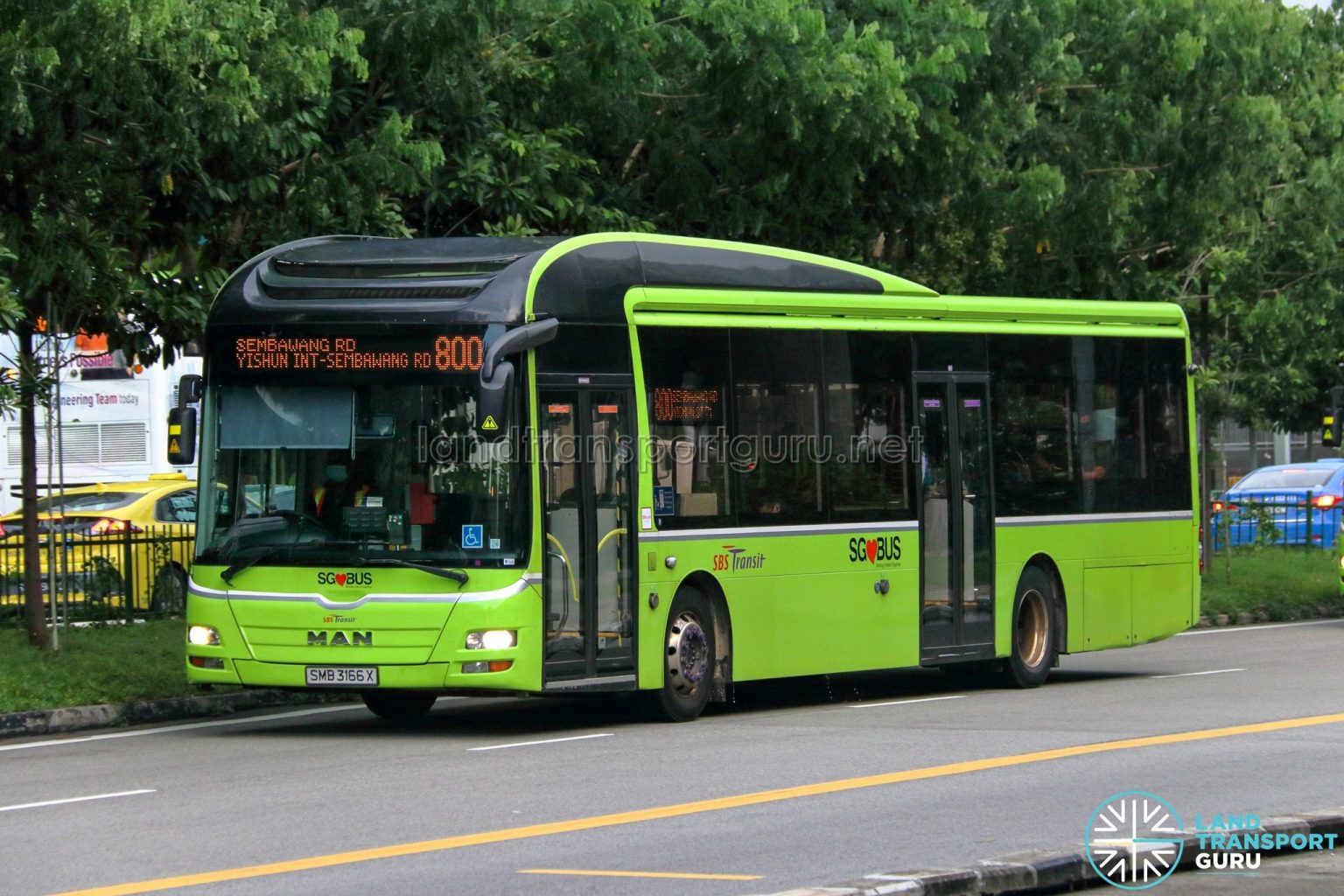 Bus 800 – SBS Transit MAN A22 (SMB3166X) | Land Transport Guru