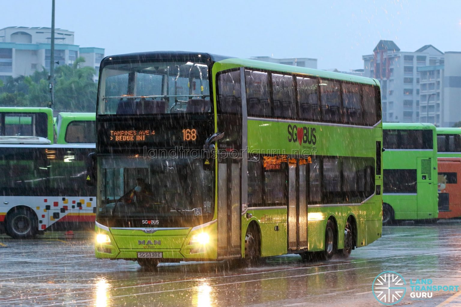 Bus 168 – SBS Transit MAN A95 (SG5838E) | Land Transport Guru
