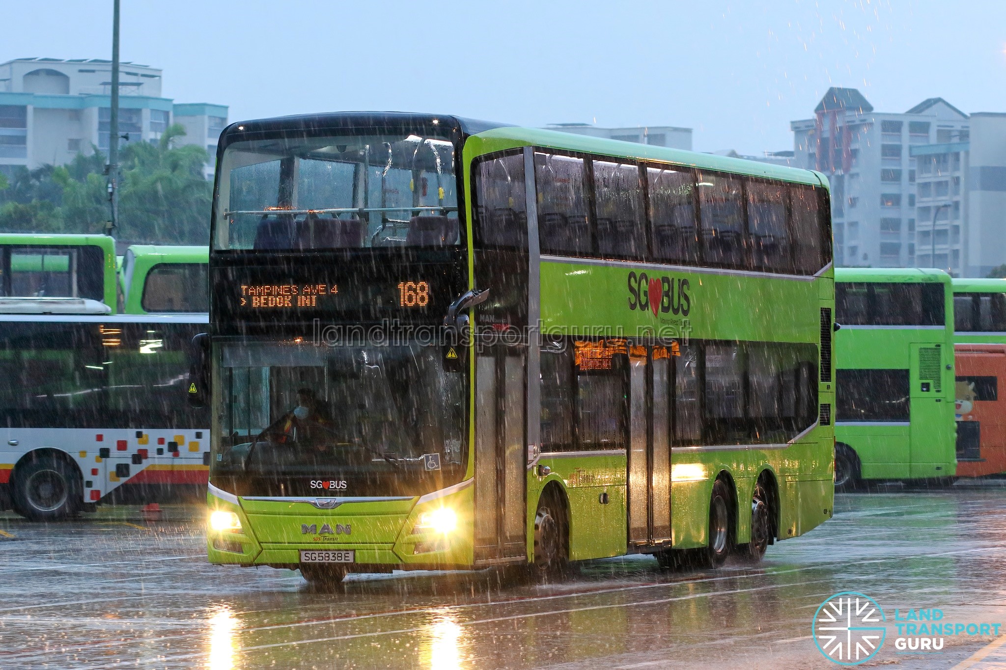 Bus 168 SBS Transit MAN A95 SG5838E Land Transport Guru Bus 168 SBS Transit MAN A95 SG5838E Land Transport Guru