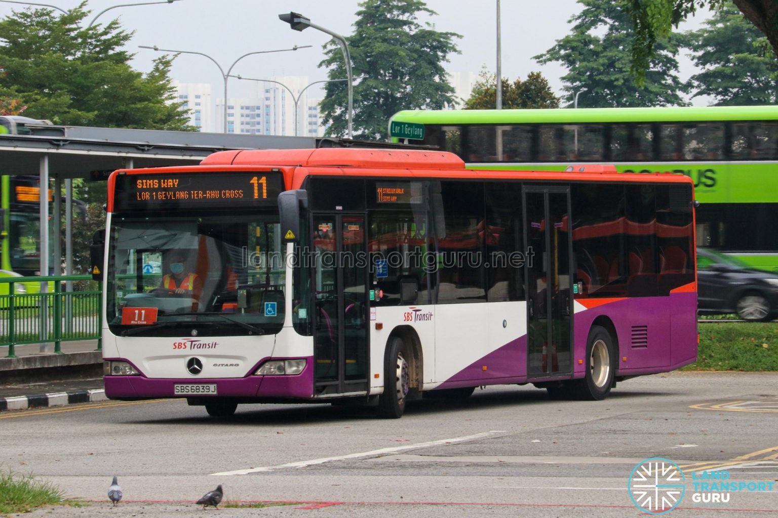 Bus 11 – SBS Transit Mercedes-Benz Citaro (SBS6839J) | Land Transport Guru