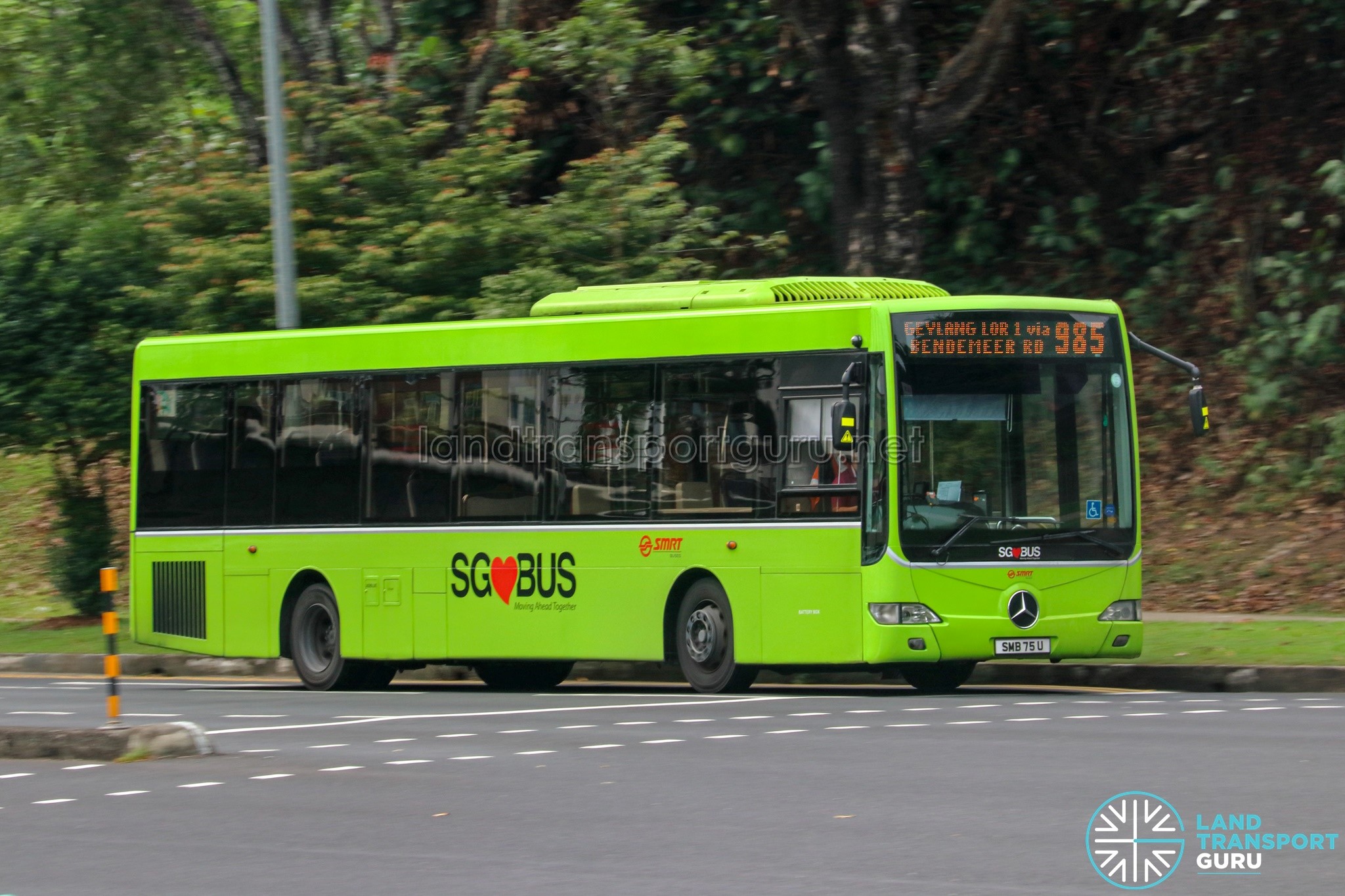 Bus 985 SMRT Buses Mercedes Benz OC500LE SMB75U Land Transport Guru Bus 985 SMRT Buses Mercedes Benz OC500LE SMB75U Land Transport Guru