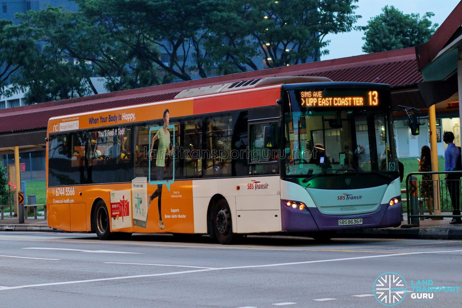 Bus 13 – SBS Transit Scania K230UB Euro V (SBS8636P) | Land Transport Guru
