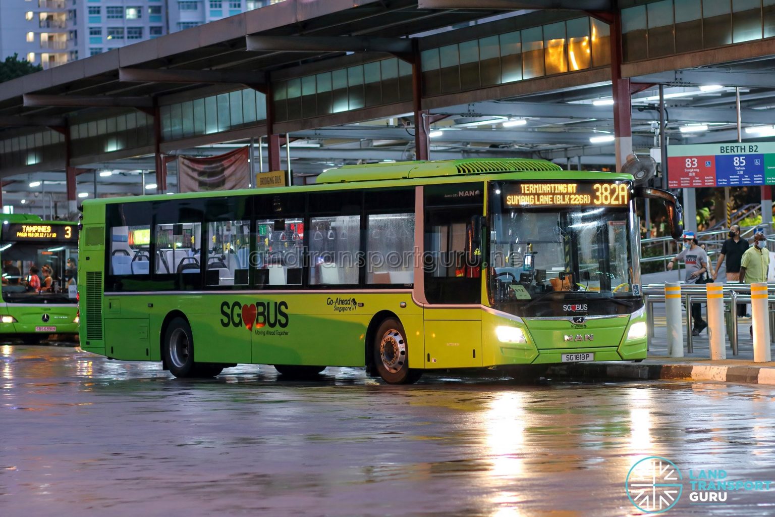 Bus 382A – Go-Ahead Singapore MAN A22 Euro 6 (SG1818P) | Land Transport ...