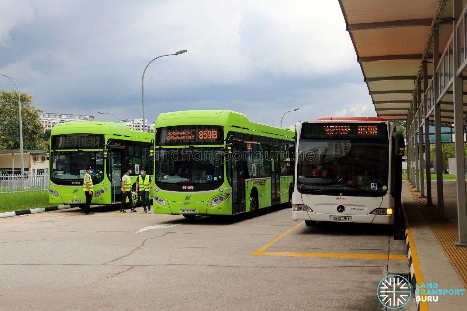 Tower Transit & SMRT Buses Volvo B5LH buses with a Mercedes-Benz Citaro ...