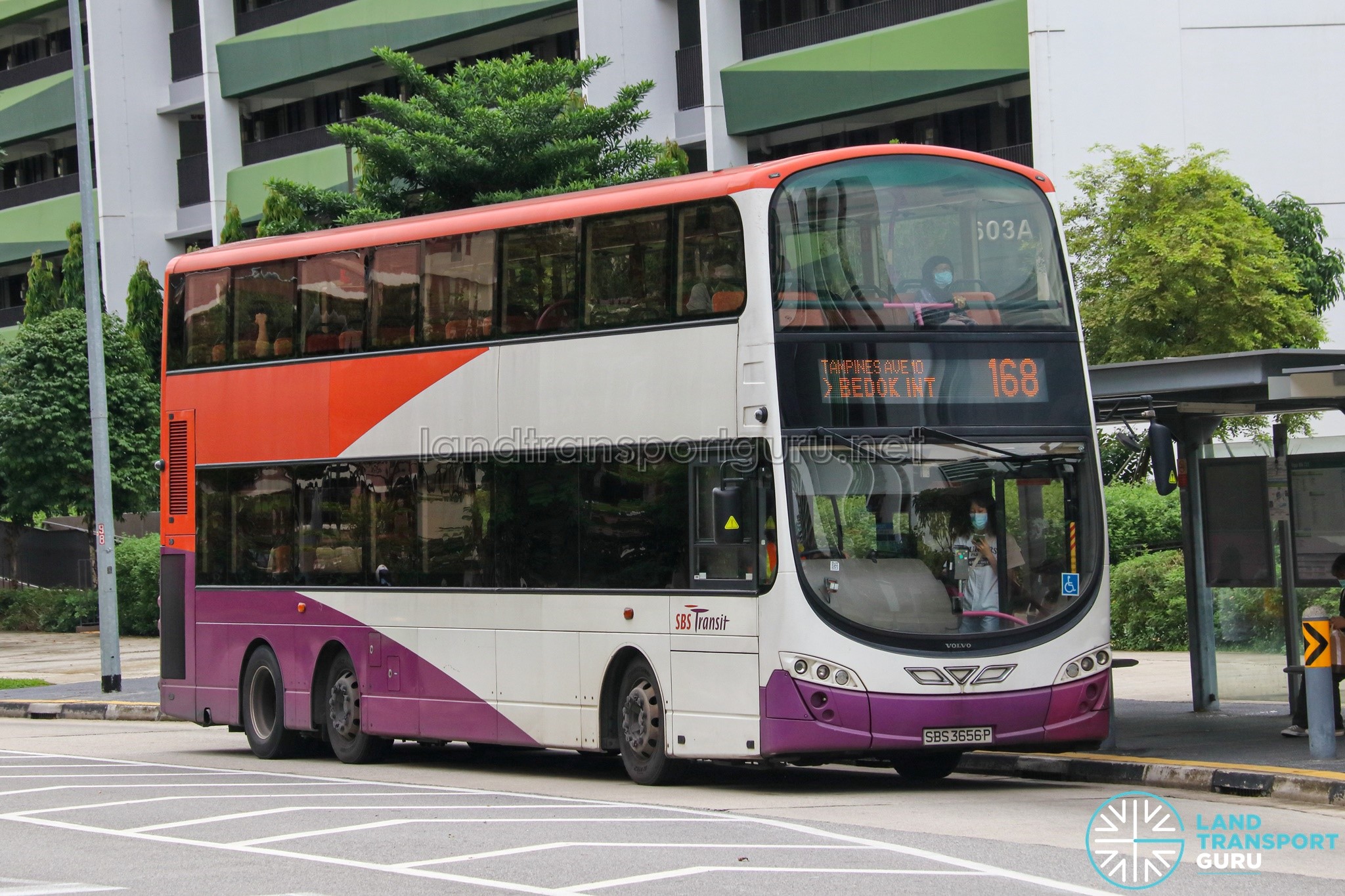 Bus 168 SBS Transit Volvo B9TL Wright SBS3656P Land Transport Guru
