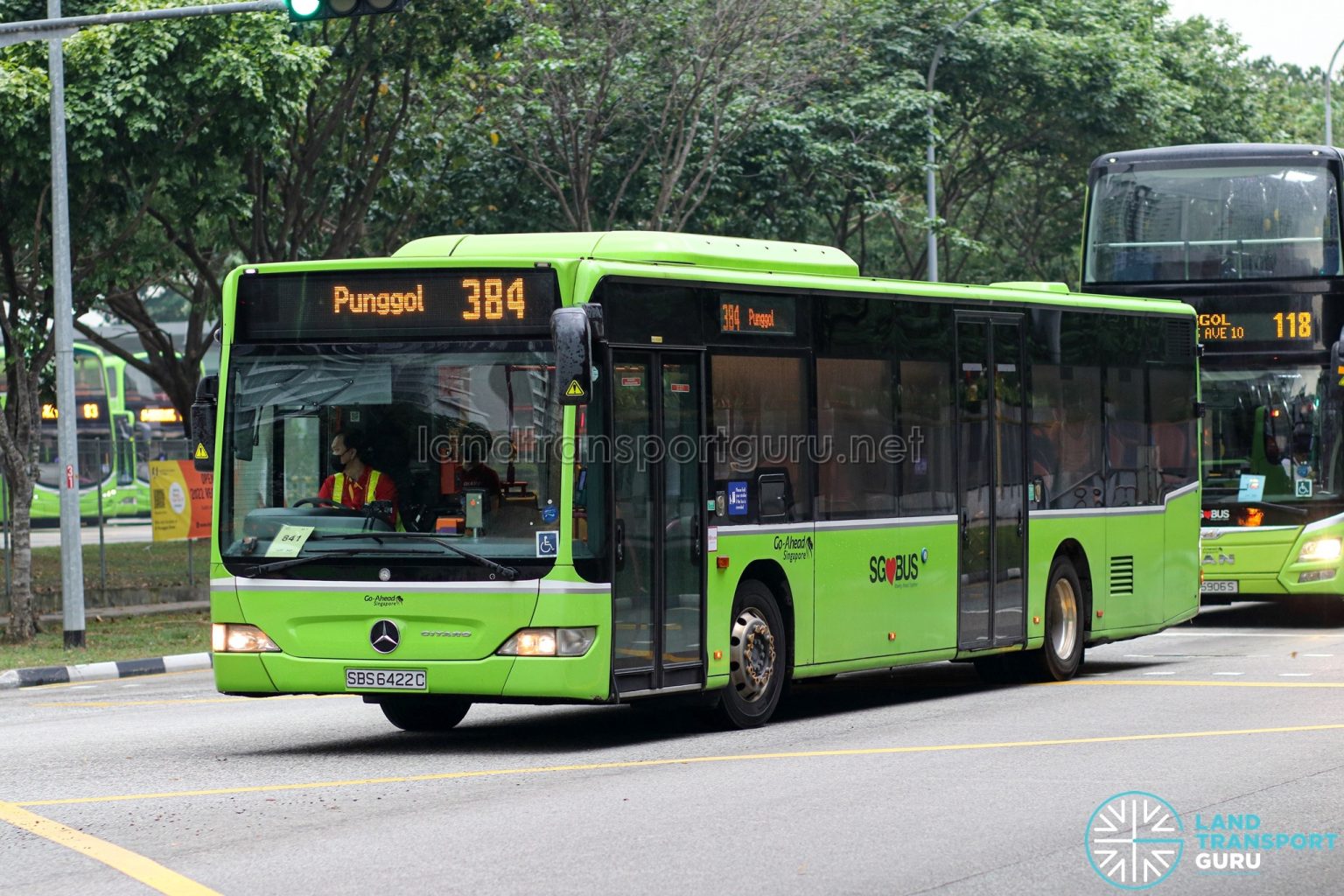 Bus 384 – Go-Ahead Singapore Mercedes-Benz Citaro (SBS6422C) | Land ...