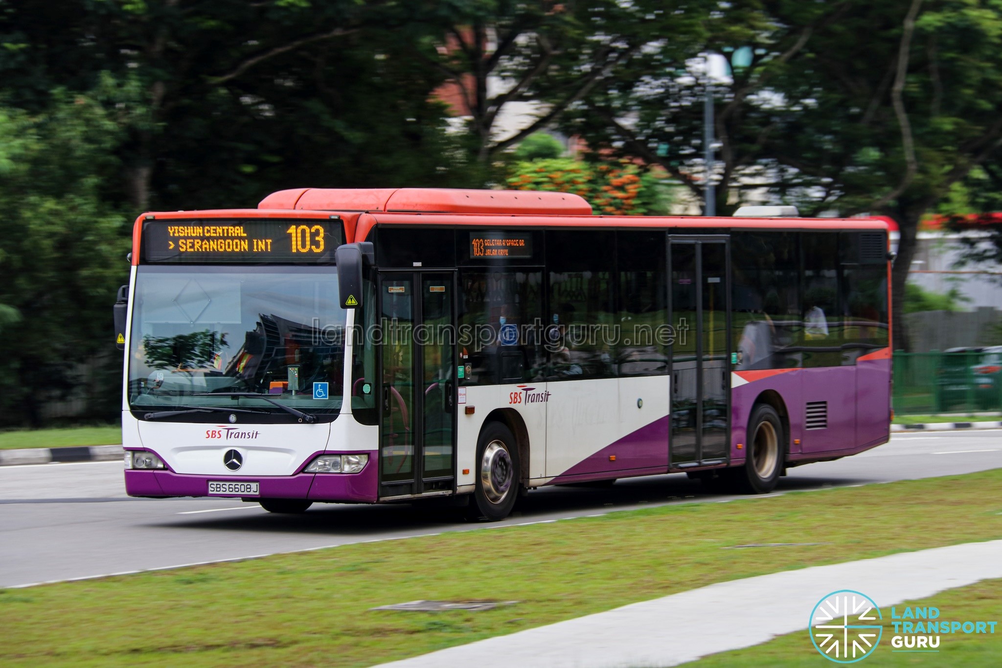 Bus 103 SBS Transit Mercedes Benz Citaro SBS6608J Land Transport Guru Bus 103 SBS Transit Mercedes Benz Citaro SBS6608J Land Transport Guru