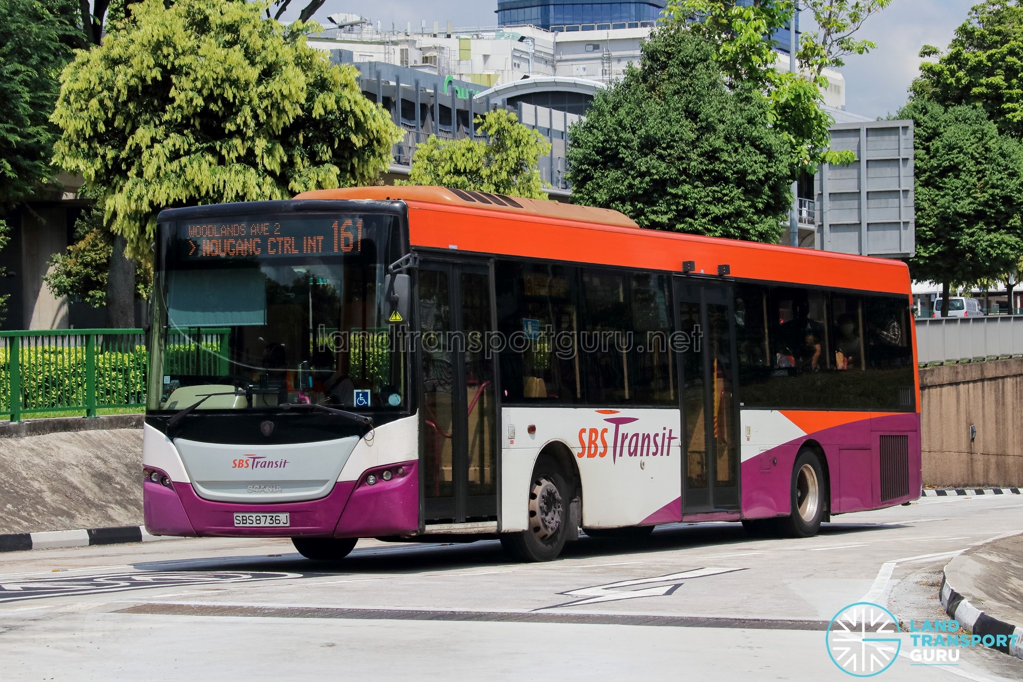 Bus 161 SBS Transit Scania K230UB Euro V SBS8736J Land Transport Guru Bus 161 SBS Transit Scania K230UB Euro V SBS8736J Land Transport Guru