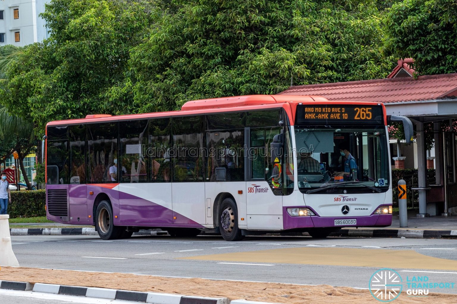 Bus 265 – SBS Transit Mercedes-Benz Citaro (SBS6003D) | Land Transport Guru