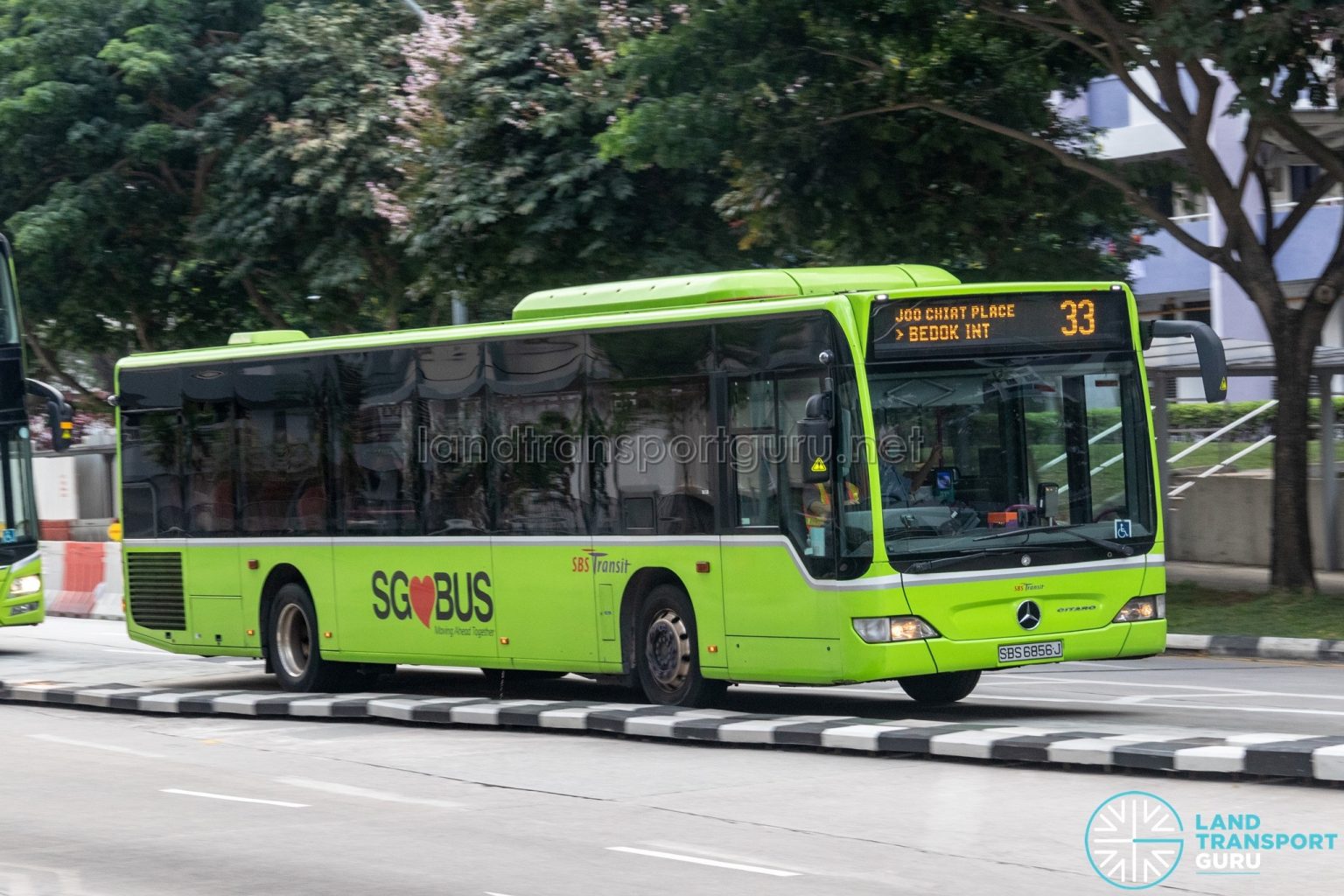 Bus 33 – SBS Transit Mercedes-Benz Citaro (SBS6856J) | Land Transport Guru