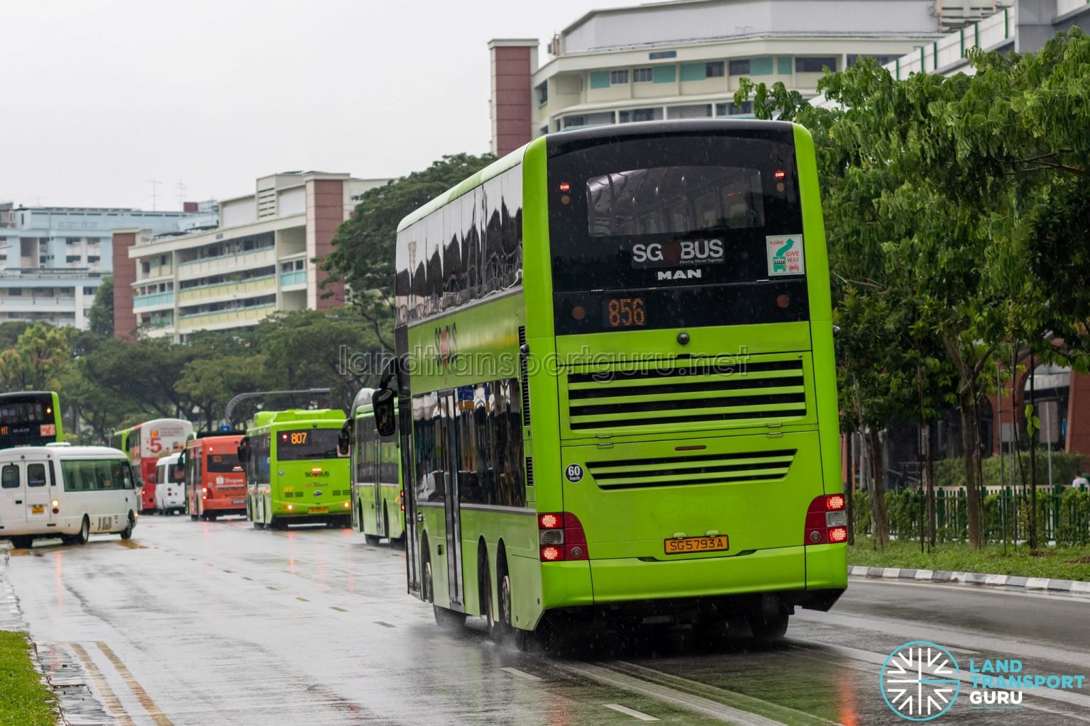 SMRT Buses MAN A95 (SG5793A) [Rear] | Land Transport Guru