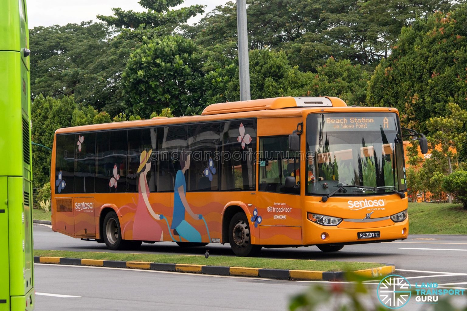 Sentosa Bus A | Land Transport Guru