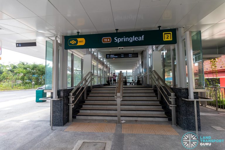 Springleaf MRT Station | Land Transport Guru