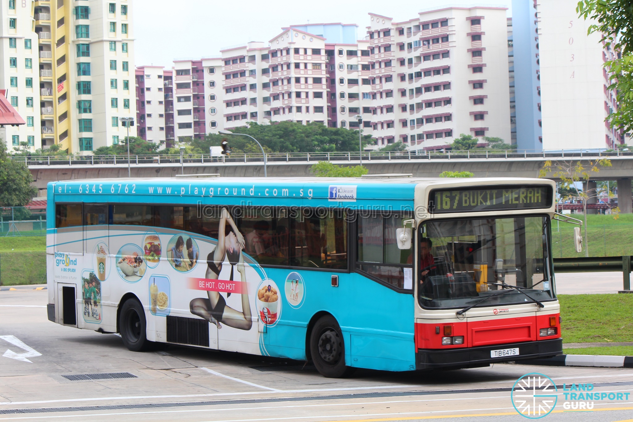 Bus 167 SMRT Scania L113CRL Walter Alexander TIB647S Land Bus 167 SMRT Scania L113CRL Walter Alexander TIB647S Land