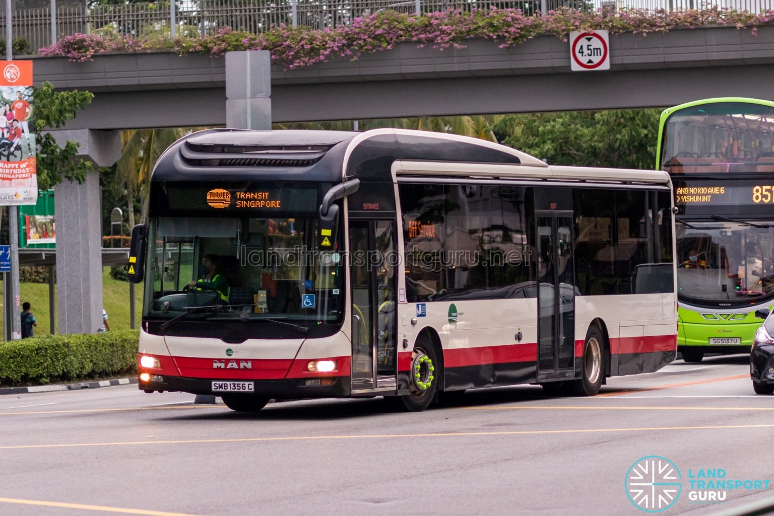 Launch of New Feeder Service 801 | Land Transport Guru